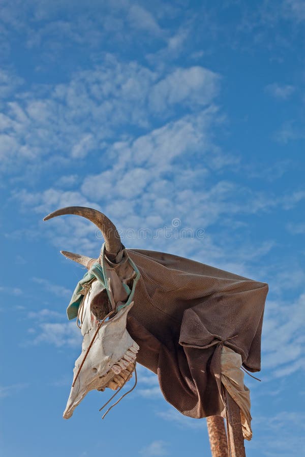 Bull Skull stock photo. Image of horned, icon, tropical - 30316266