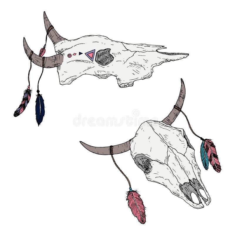 Bull Skulls with Feathers on Horns. Boho Style Stock Vector ...
