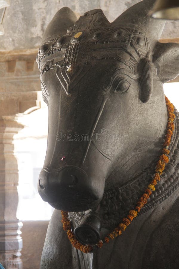 Bull statue stock photo. Image of clothing, mammal, iron - 294716734