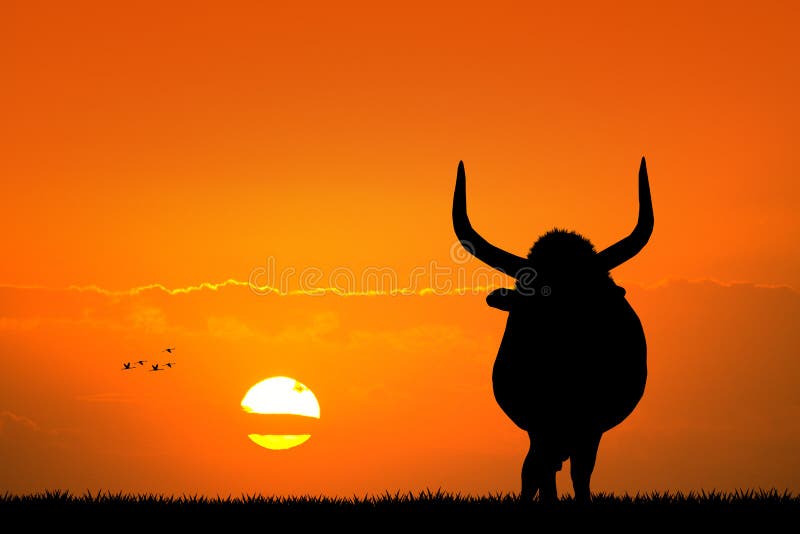 Bull at sunset stock illustration. Illustration of oxen - 54940052