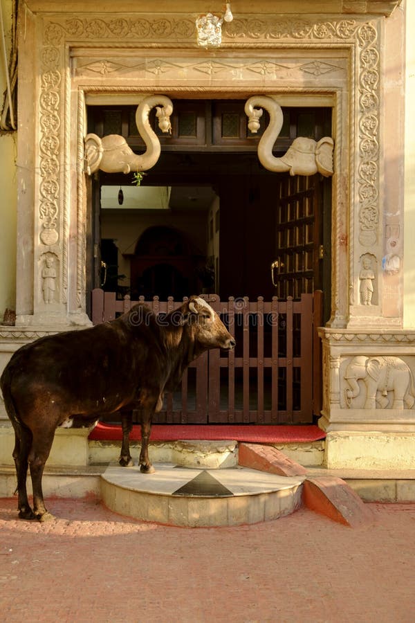 Bull Temple Detail, Bangalore, India Stock Image - Image of gods ...