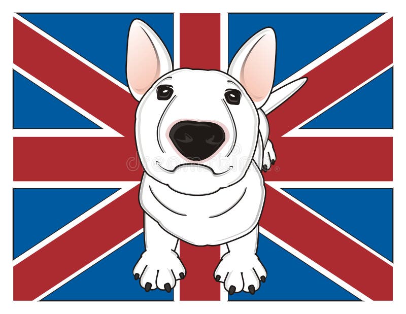 Bull terrier in glasses stock illustration. Illustration of bull ...