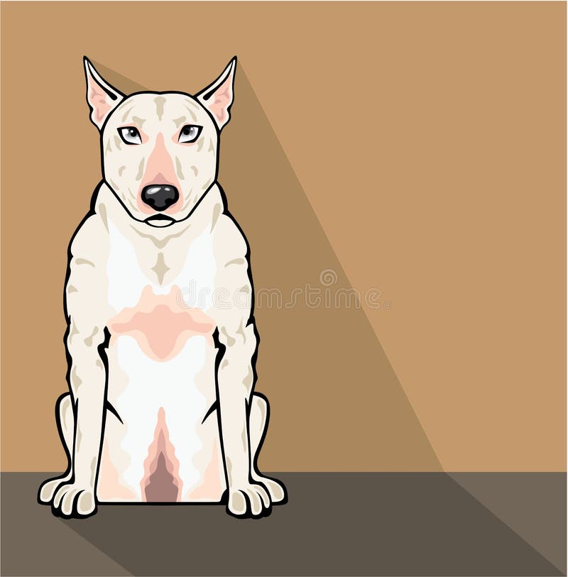 Bull Terrier vector stock vector. Illustration of pedigree - 49279898