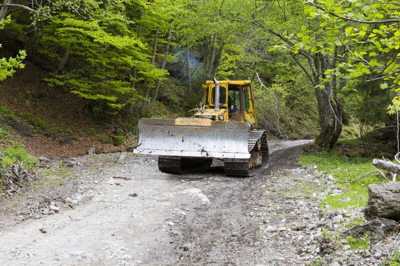 Bulldozer Clearing a Path in a Forest Stock Photo - Image of greenery ...
