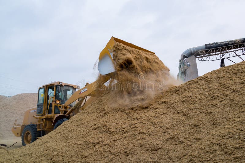 Bulldozer Loading Rice Husk Editorial Stock Image - Image of rough ...