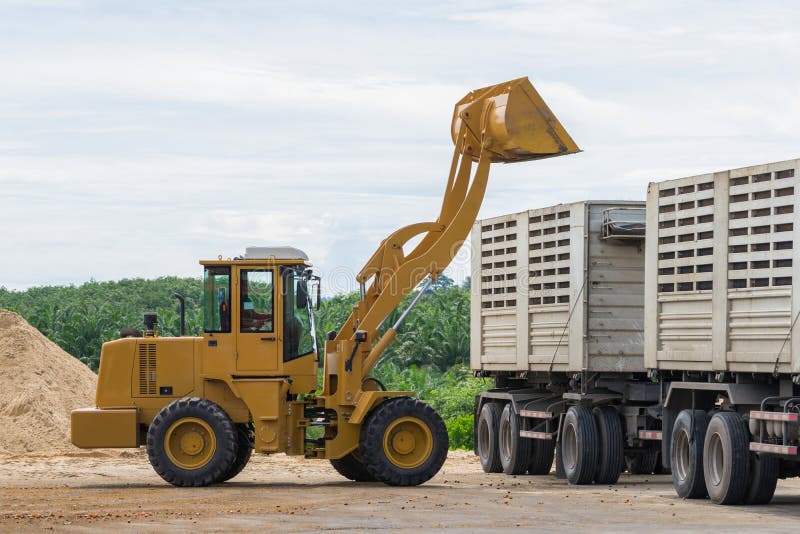 Sand Loading In A Dump-body Truck Stock Photo - Image of dumper ...