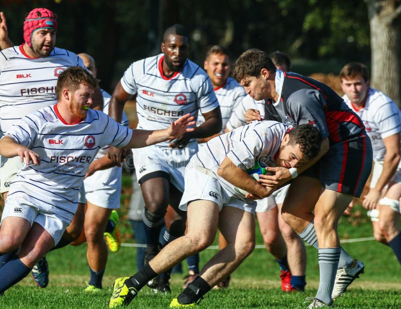 Bulldozing through editorial stock photo. Image of gang - 80965733