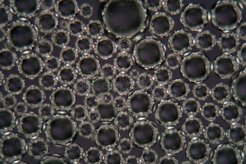 Bulles De Mousse De Bière Sous Un Microscope Photo stock - Image du ...