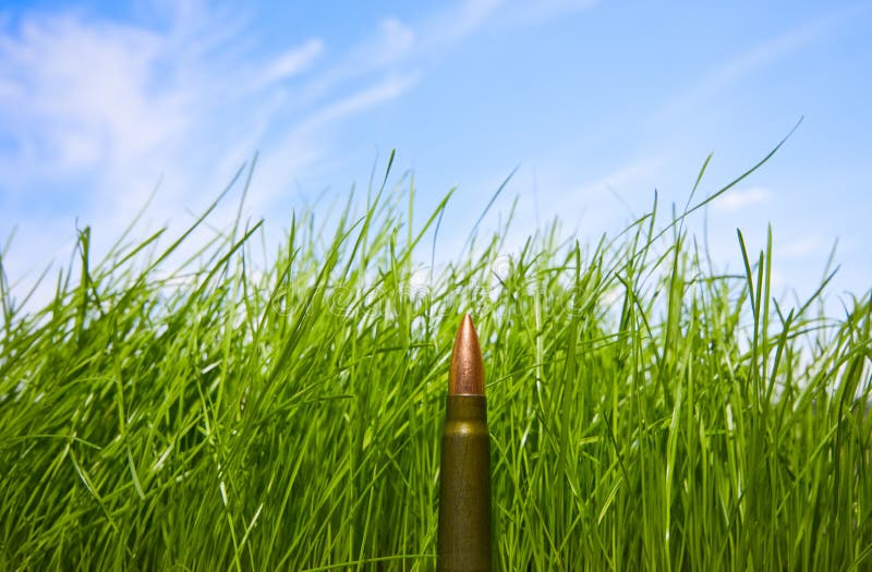 Bullet, grass and sky stock image. Image of cartridge - 11887863