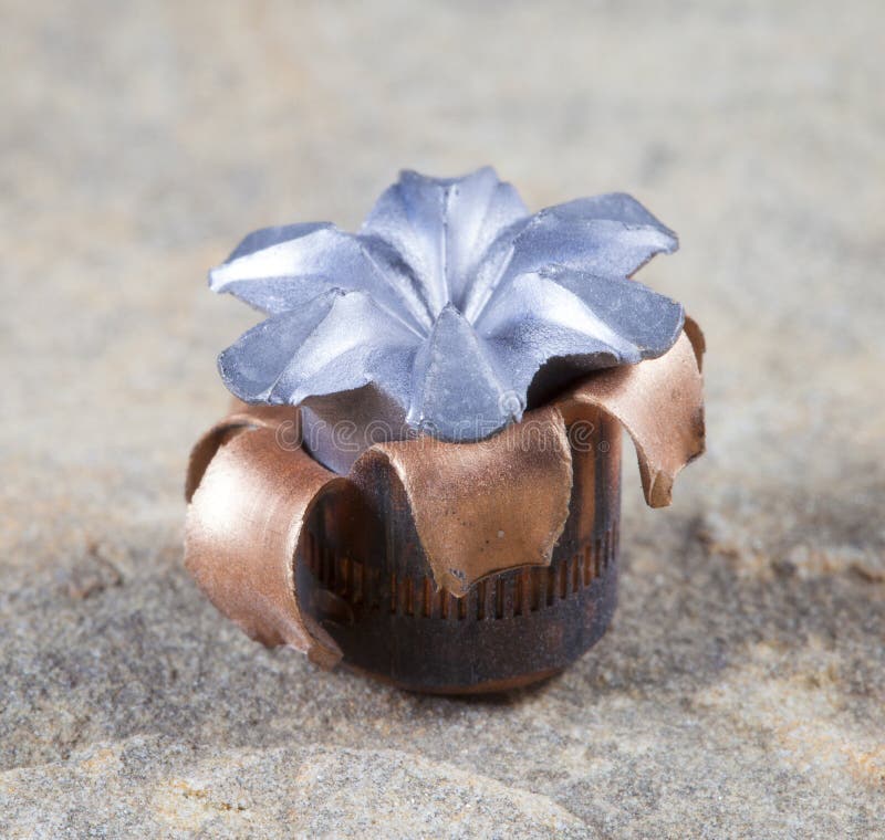 Bullet Mushroom Stock Photos - Free & Royalty-Free Stock Photos from ...