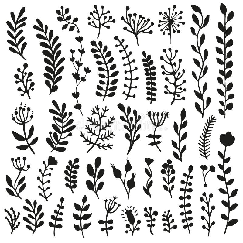 Set of Doodles Branches, Herbs, Flowers, Plants Stock Vector ...
