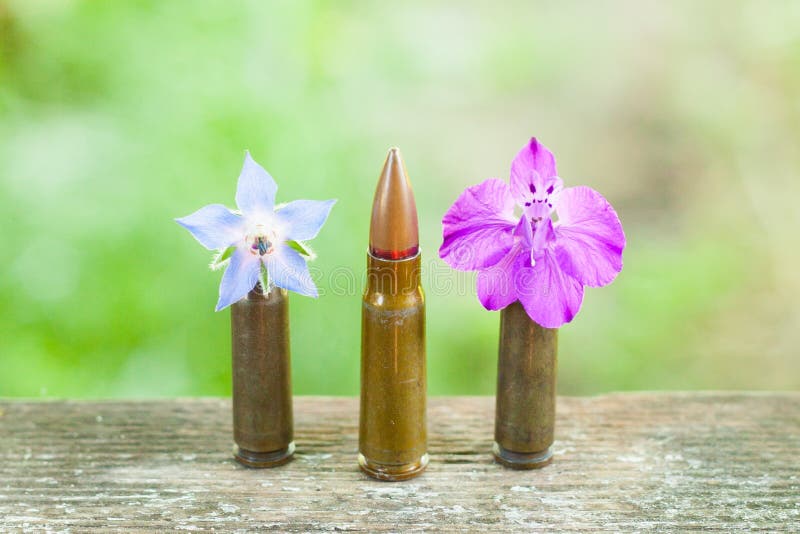 Bullet Masking between Flowers Stock Photo - Image of torn, suffering ...