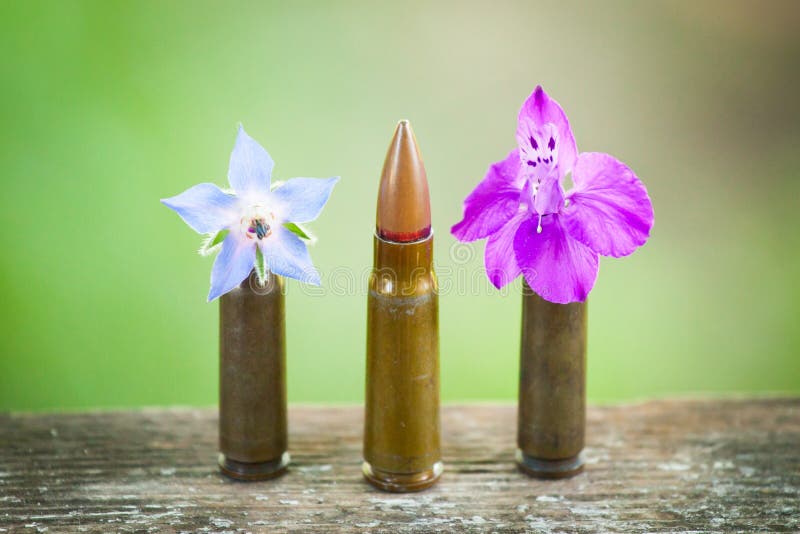 Bullet Masking between Flowers Stock Photo - Image of case ...