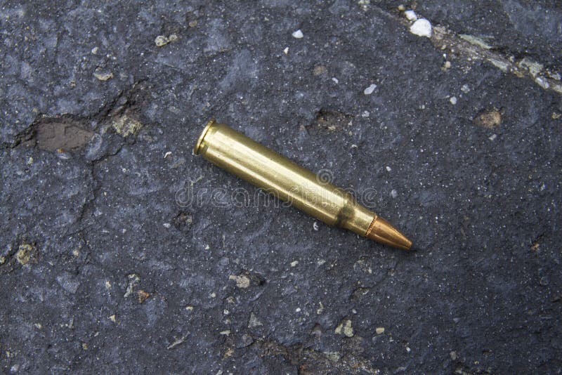 Bullet stock image. Image of hunt, metal, ammo, amendment - 53582305