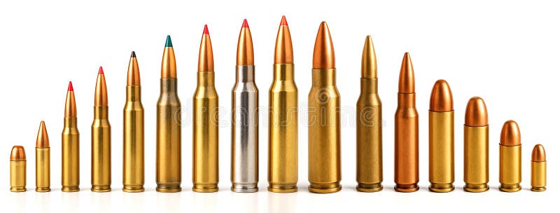 Shell Comparison Stock Illustrations – 107 Shell Comparison Stock ...