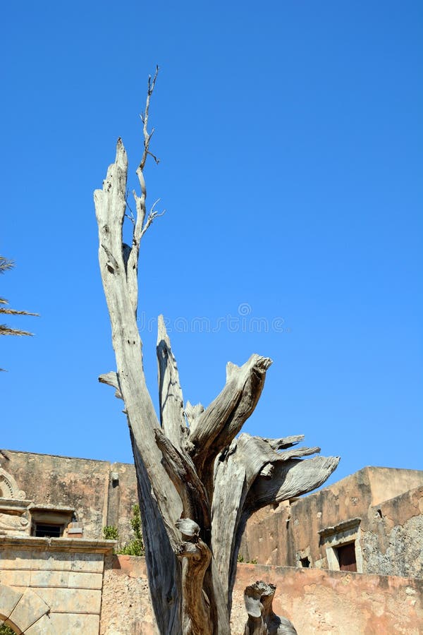 Bullet Tree at Arkadi Monastery. Stock Photo - Image of exterior ...