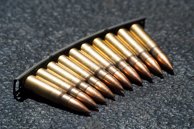 Rifle bullets separated stock photo. Image of military - 31071360