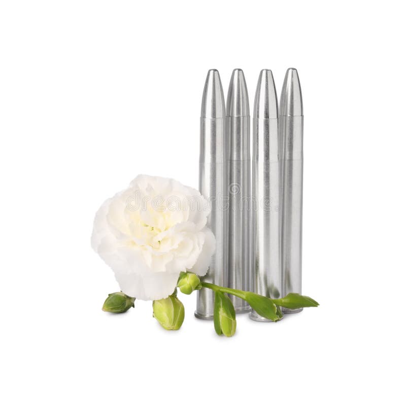 Bullets and Beautiful Flower Isolated on White Stock Photo - Image of ...