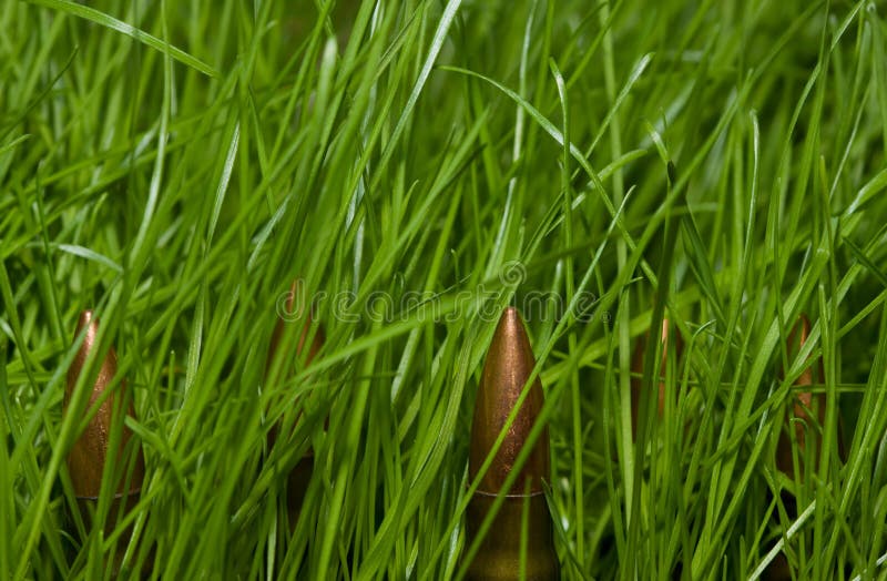 Bullet, grass and sky stock image. Image of cartridge - 11887863