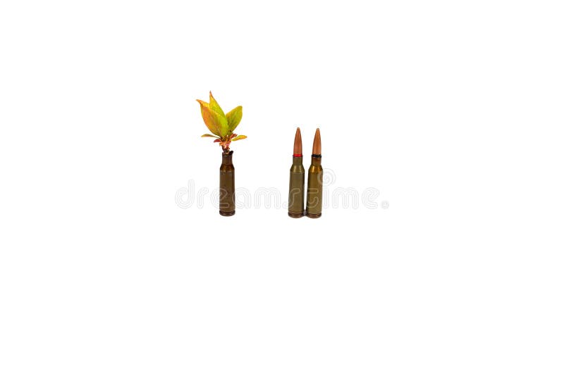Bullets for Weapons with a Plant Stock Photo - Image of growing ...
