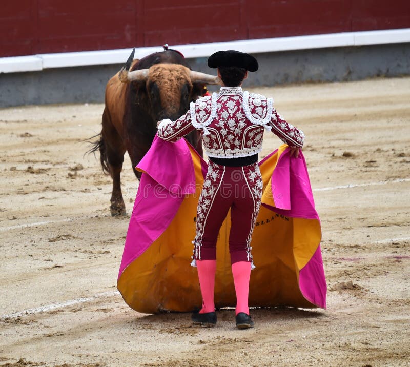 Bullfight foto editorial. Imagem de bonito, preto, campo - 117667826
