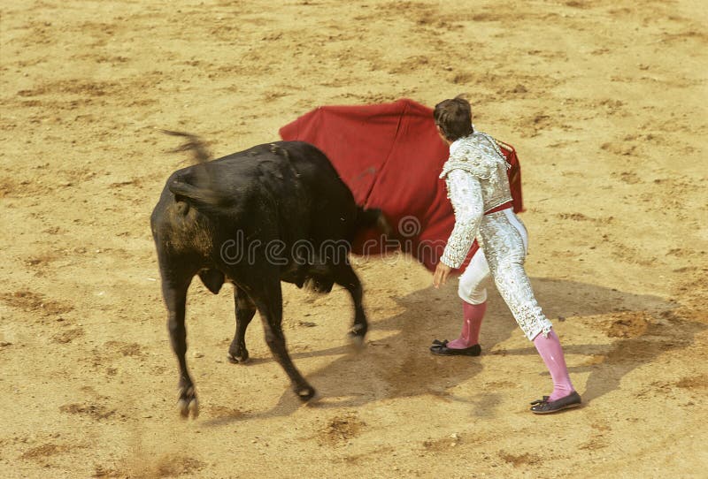 Bullfight stock photo. Image of bullfighter, challenge - 3020396