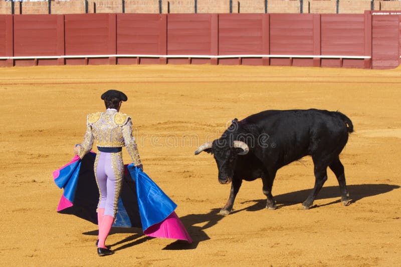Bullfighter and bull editorial stock image. Image of folklore - 21178619