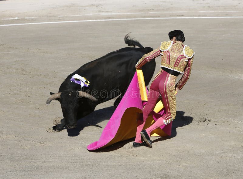 Bullfighter editorial photo. Image of tradition, event - 41967161