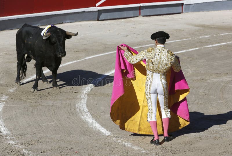 Bullfighter editorial image. Image of bullfighter, matador - 41968125