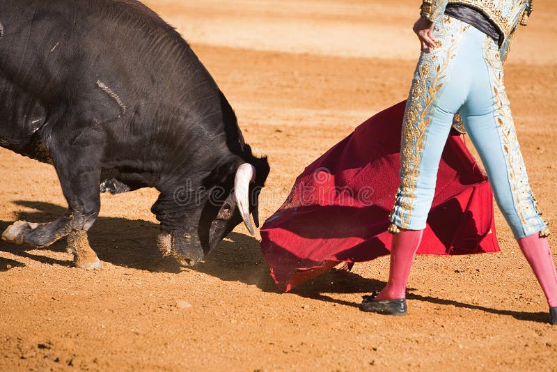 Bullfighter and bull editorial stock image. Image of folklore - 21178619