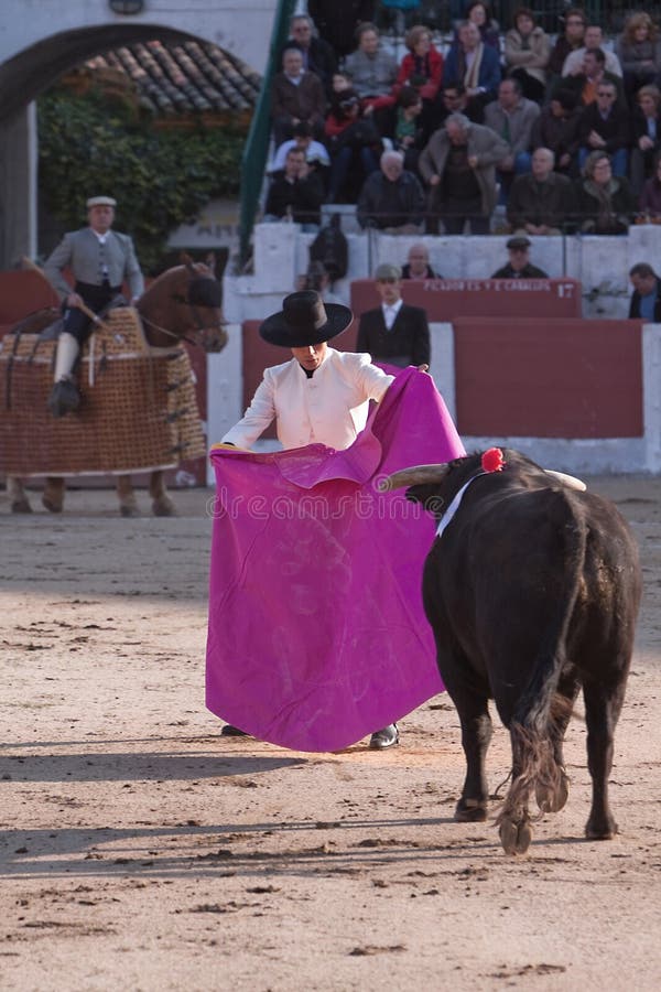 Bullfighter with the Cape in the Bullfight Editorial Image - Image of ...