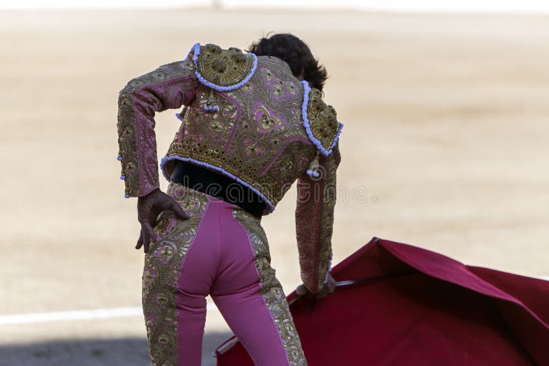 Bullfighter with the Cape in the Bullfight Stock Photo - Image of ...