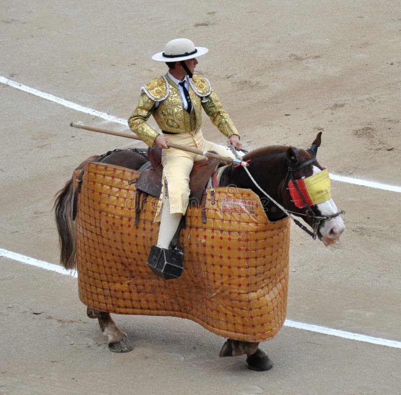 Bullfighting editorial photography. Image of cruelty - 16178302