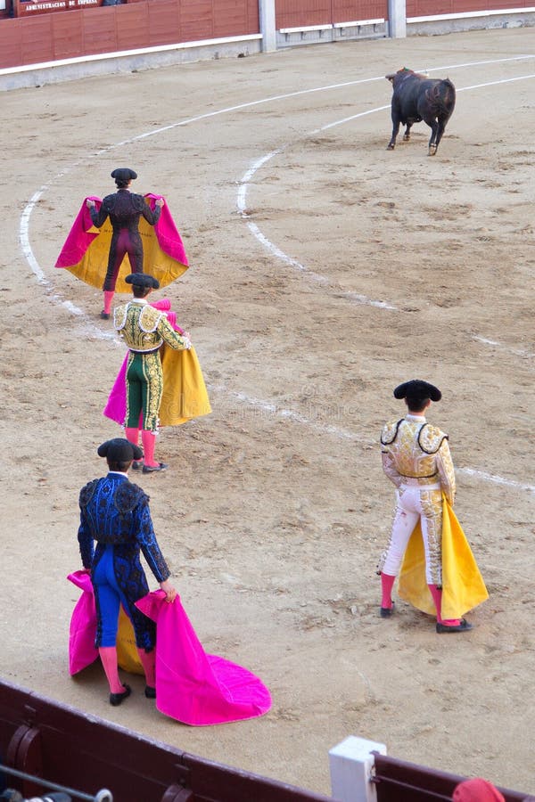 Spectacle of Bullfighting, Where a Bull Fighting a Bullfighter S ...