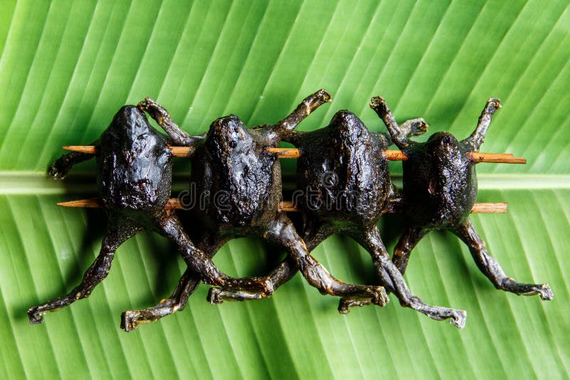 Bullfrog grilled stock image. Image of catesbiana, thailand - 40318579