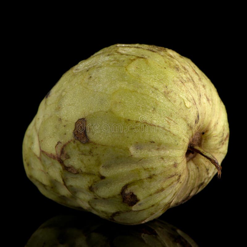 Bullocks or Bulls Heart stock image. Image of plant, food - 89706531