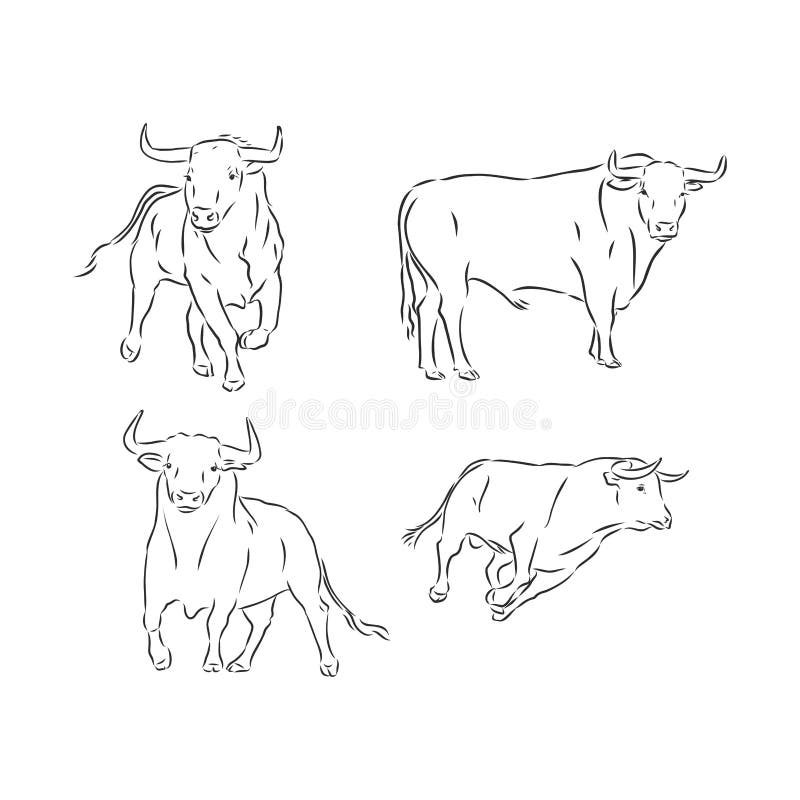 Sketch Bull. Vector Hand Drawn Illustration. Side View. Bull Vector ...