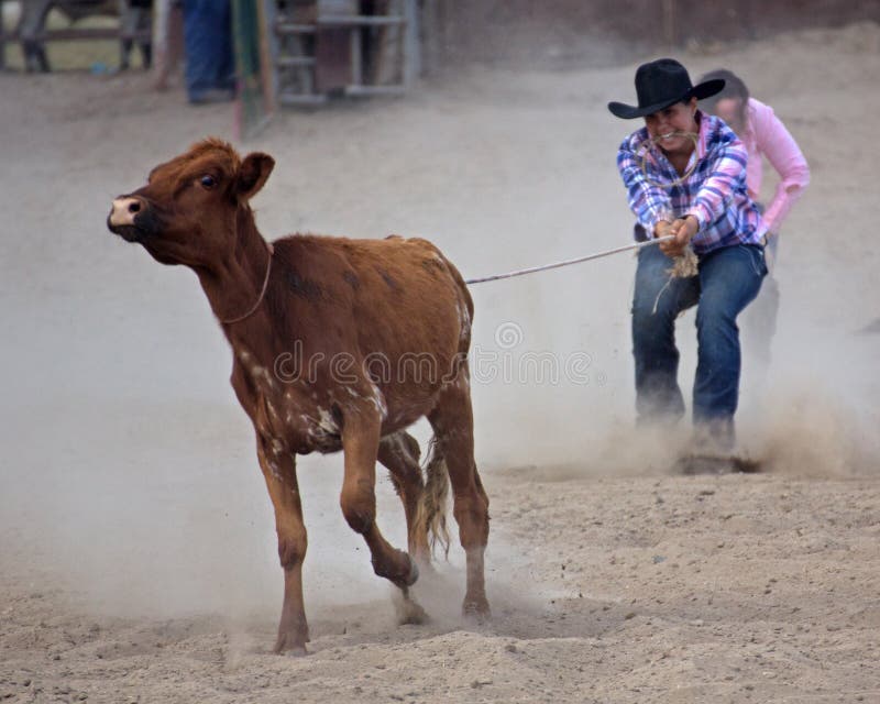 Steer Riding editorial photography. Image of high, school - 90454312