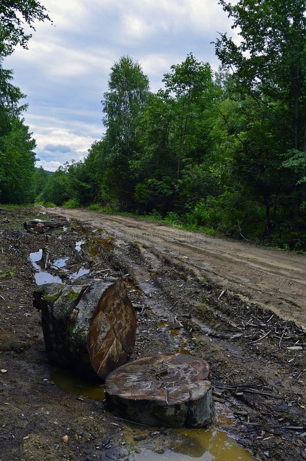 5,191 Bumpy Road Photos - Free & Royalty-Free Stock Photos from Dreamstime