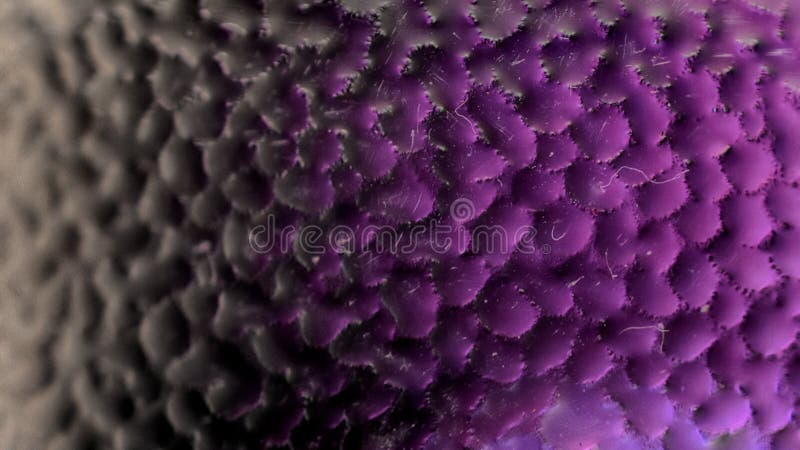 Bumpy Glass Surface with Light Reflections Translucent Purple ...