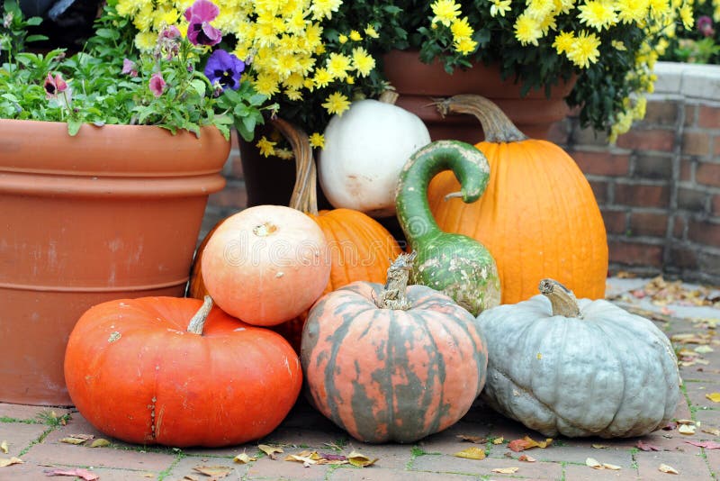 Decorative Bumpy Gourd for Fall Season Stock Image - Image of stack ...