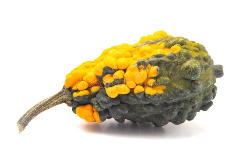 Bumpy Green and Yellow Gourd on a White Background Stock Photo - Image ...