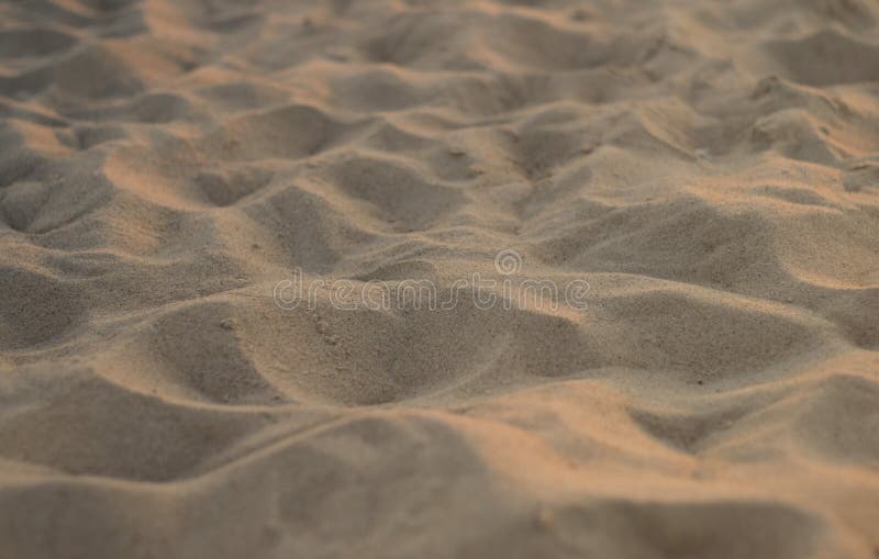 Selivonviktoria - Photographer profile