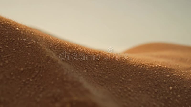 Bumpy Texture of Soil Under Warm Lighting at Golden Hour Stock Video ...