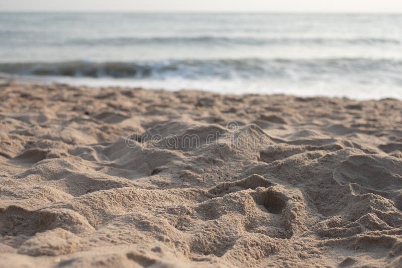 Bumpy Tropical Sandy Beach with Blurry Blue Ocean and Sky Stock Photo ...
