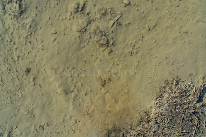 A Bumpy Wet Gravel Road after the Rain Stock Image - Image of ...