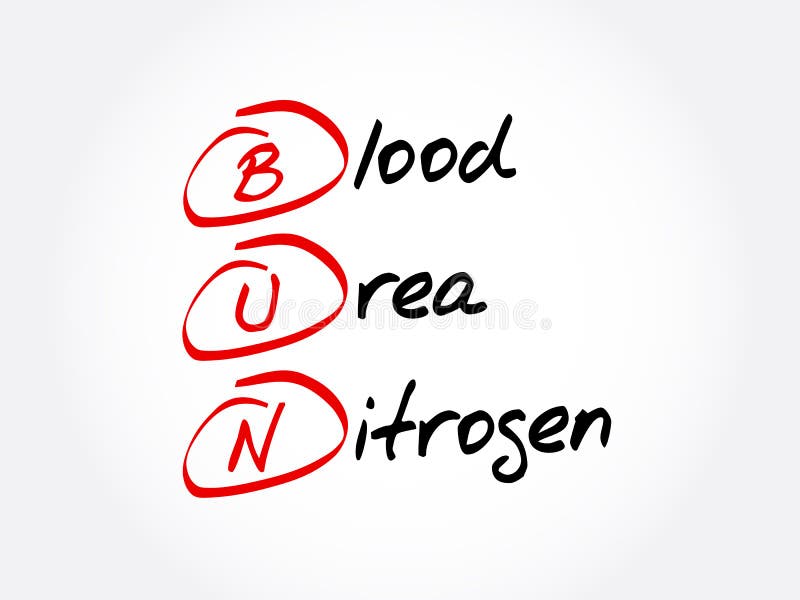 BUN - Blood Urea Nitrogen Acronym Stock Illustration - Illustration of ...