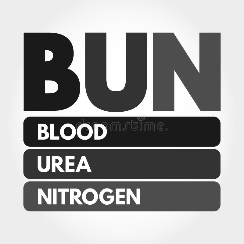 BUN - Blood Urea Nitrogen Acronym Concept Stock Illustration ...