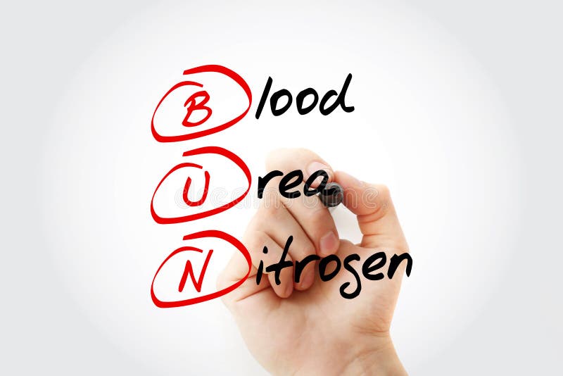 BUN - Blood Urea Nitrogen Acronym with Marker, Concept Background Stock ...