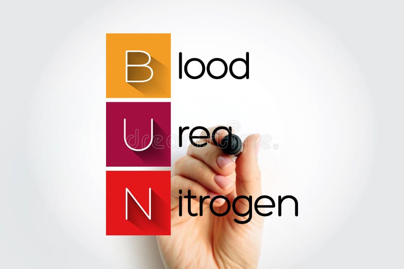 Digestive Circulatory System Stock Photos - Free & Royalty-Free Stock ...